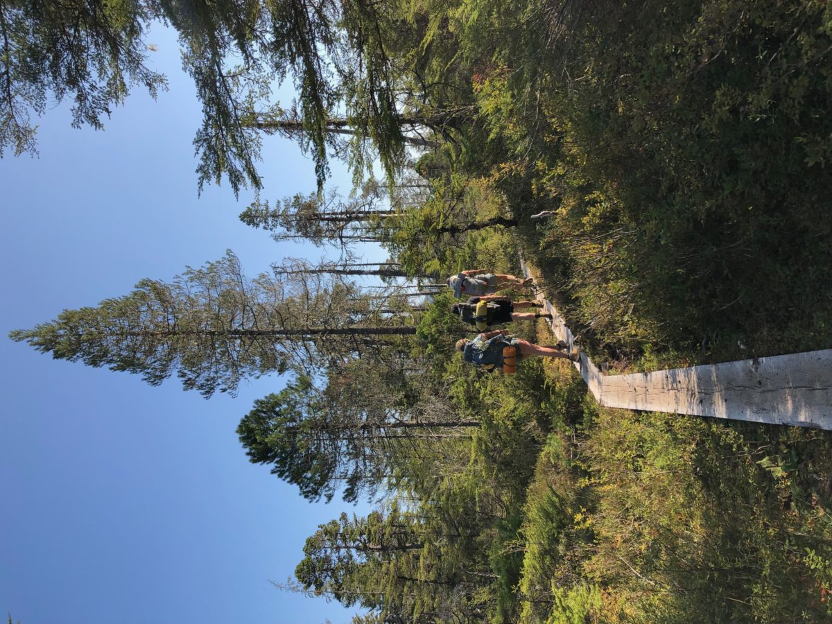 The Best of Juneau Alaska in 5 Days » Miss Rover