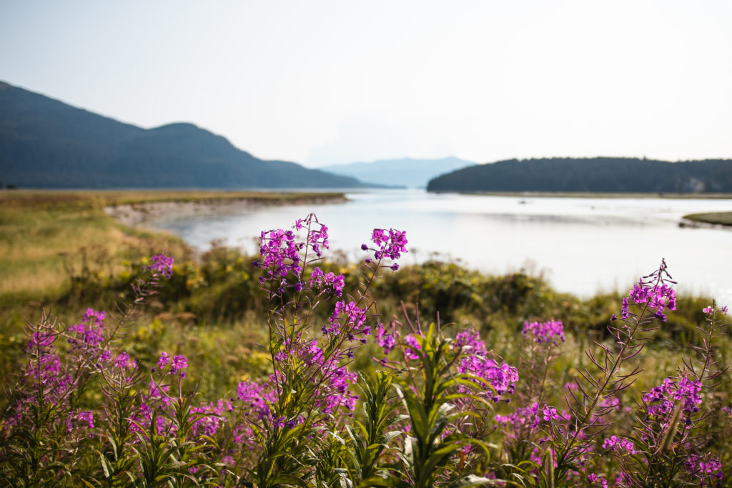 Best Things To Do in Juneau Alaska: Ultimate 5 Day itinerary Guide ...