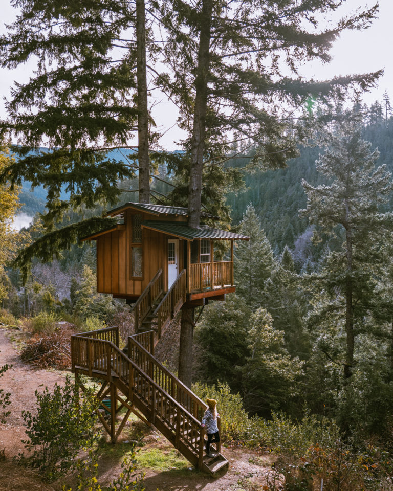Off-Grid Treehouse in Northern California: guide to a unique stay ...