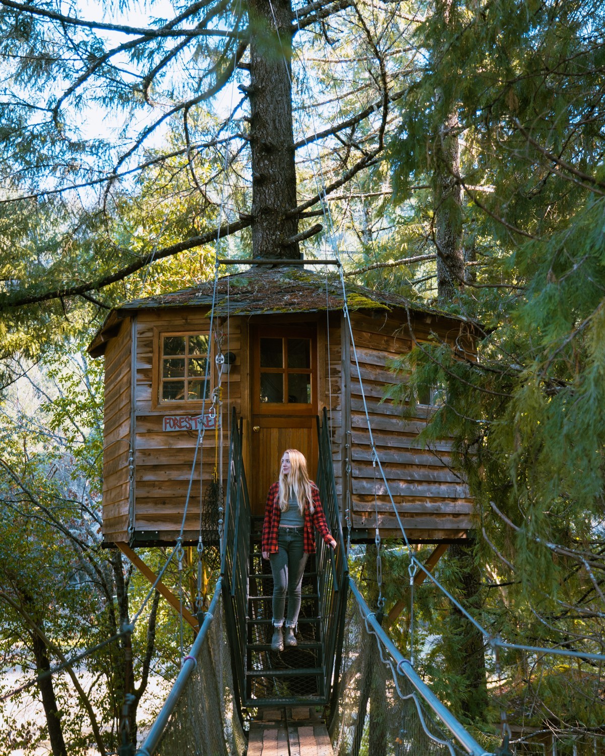 5 Epic Oregon Treehouses to Rent Now - Miss Rover