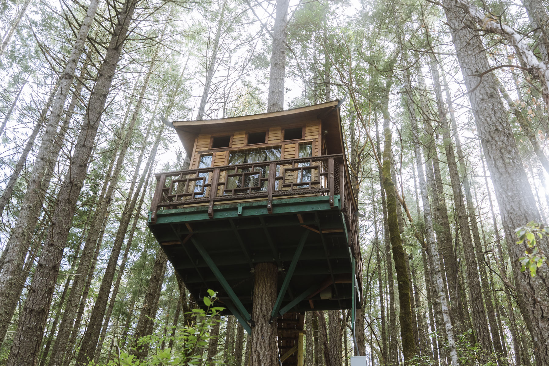4 Treehouse Rentals in Oregon: Ultimate Guide to Wine Country ...