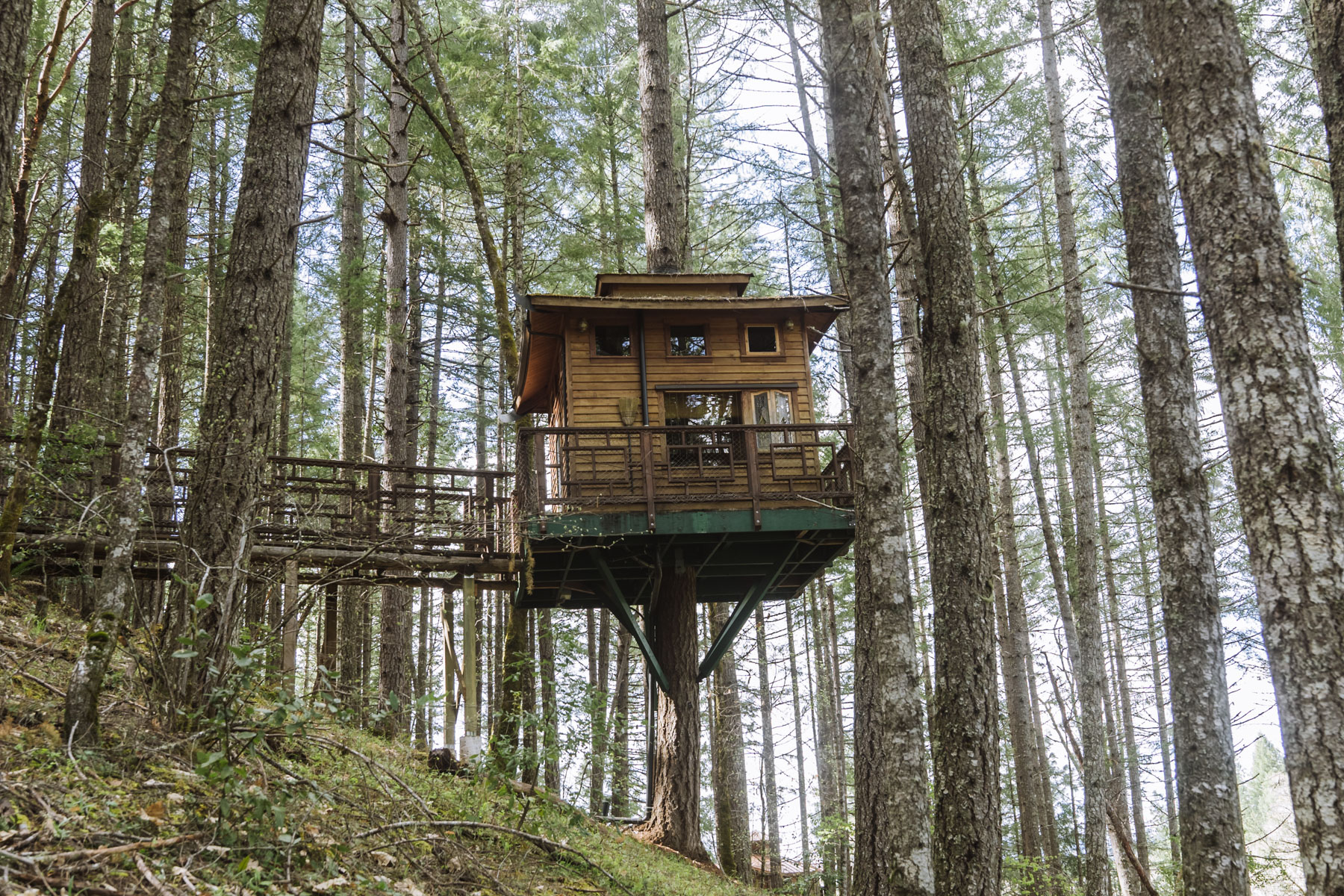4 Treehouse Rentals in Oregon: Ultimate Guide to Wine Country ...