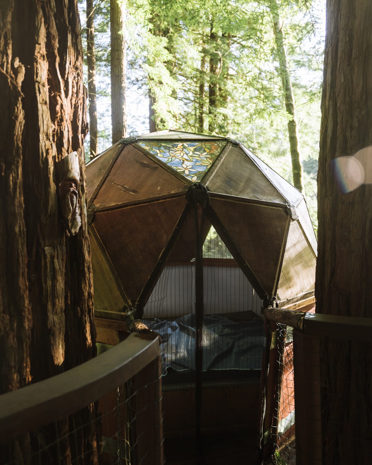 Redwood Treehouse Airbnb in California: Ultimate Redwood Getaway - Miss ...