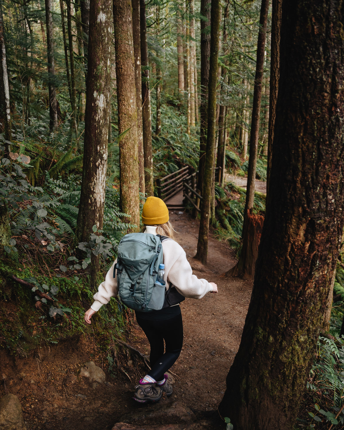 Wallace Falls Trail: Ultimate Guide to Stunning Waterfalls Near Seattle ...