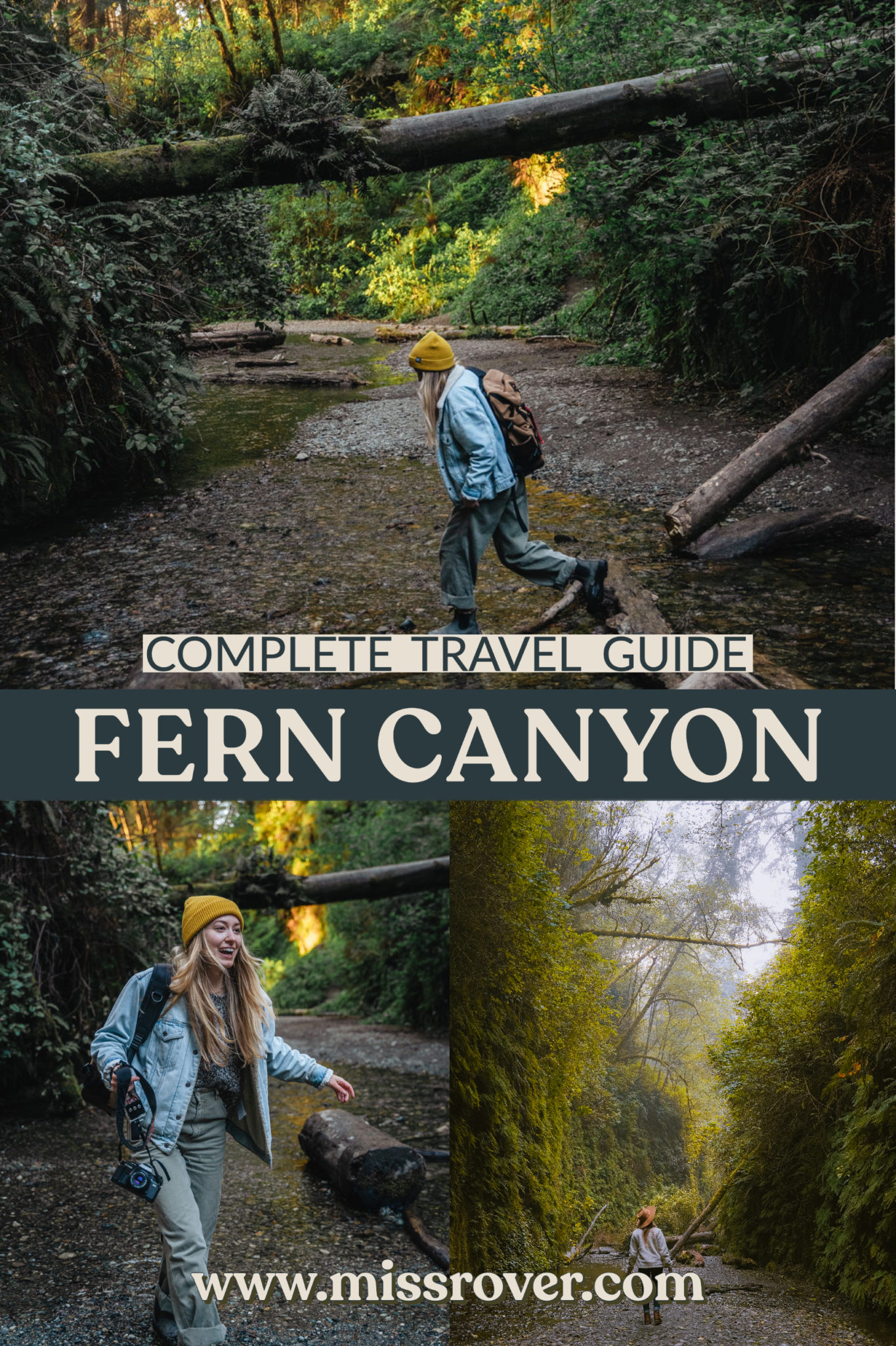 Fern Canyon: A complete guide to finding the Lost World - Miss Rover