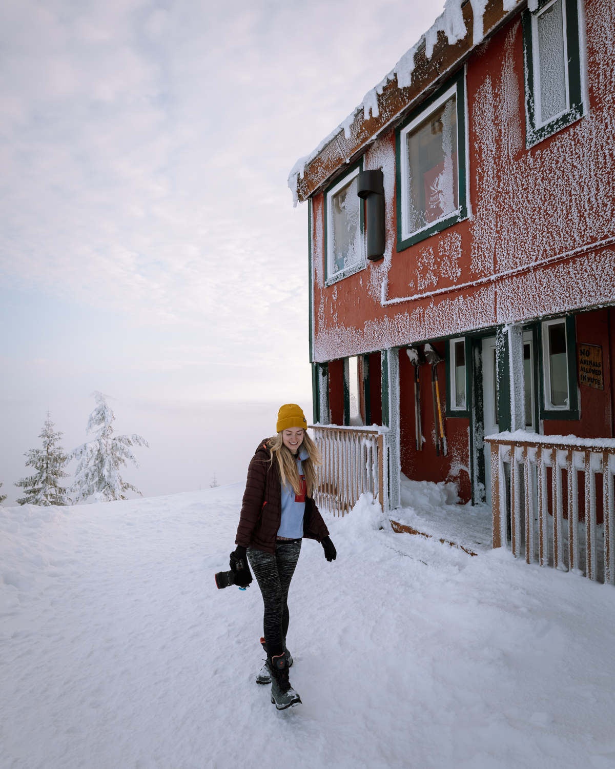 Hike to High Hut Backcountry Cabin at Mount Rainier - Miss Rover