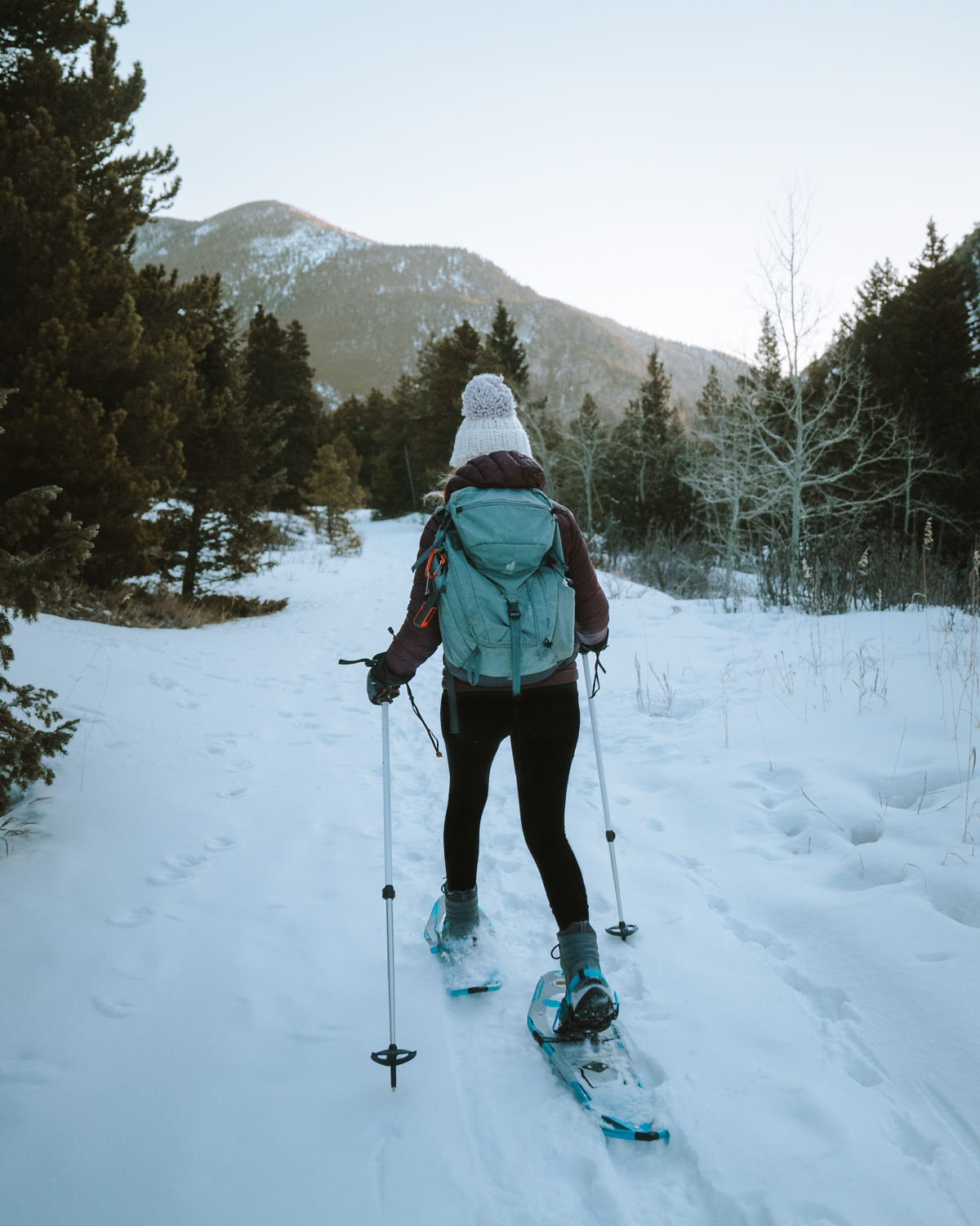 Why You Should Visit Red Lodge Montana in Winter: Ultimate Travel Guide ...