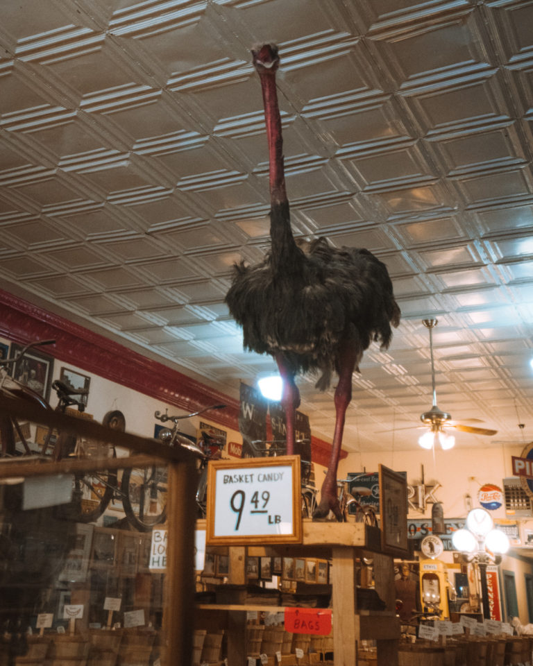 20 Best Things to do in Red Lodge Montana - Miss Rover