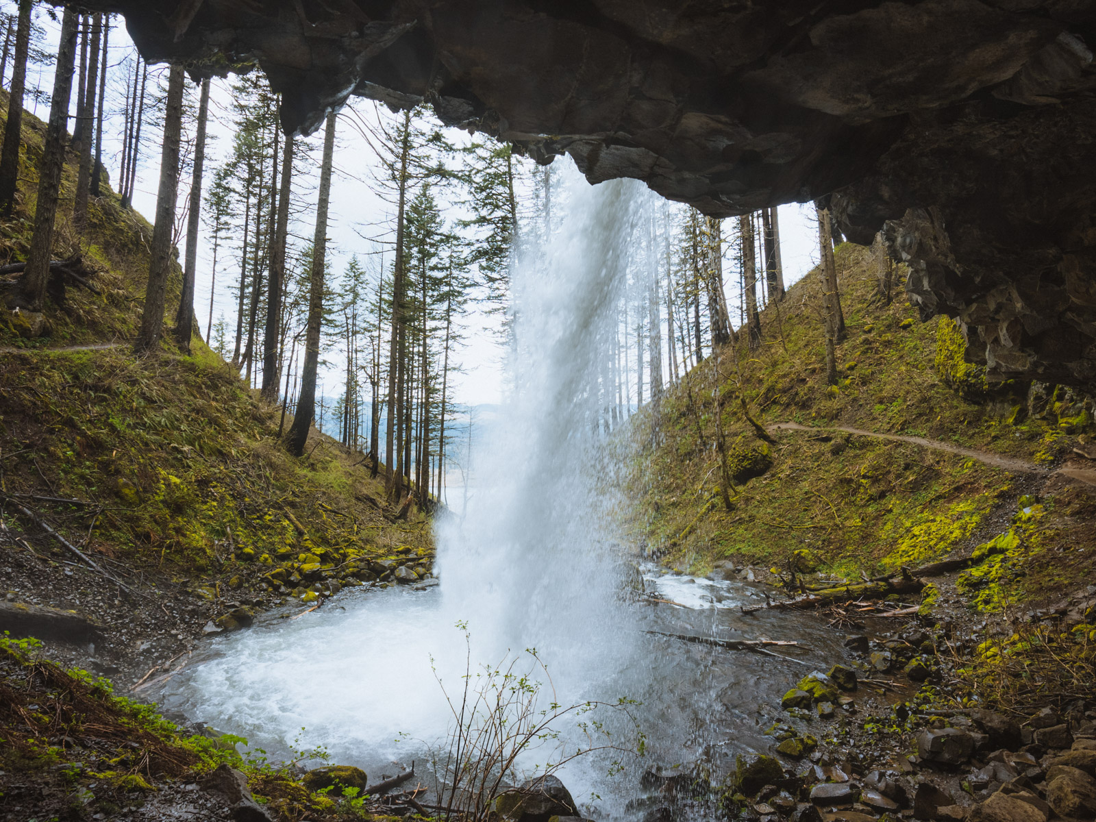 15 Best Waterfalls Near Portland Oregon: Quick Guide - Miss Rover