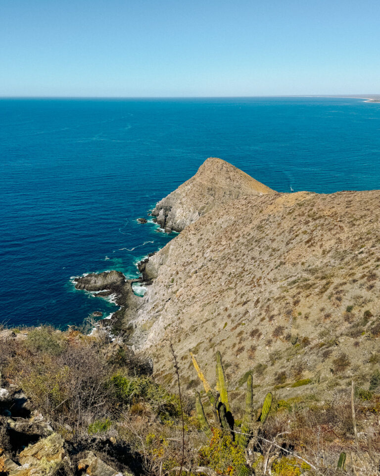 Ultimate Baja California Road Trip | van life in Mexico - Miss Rover