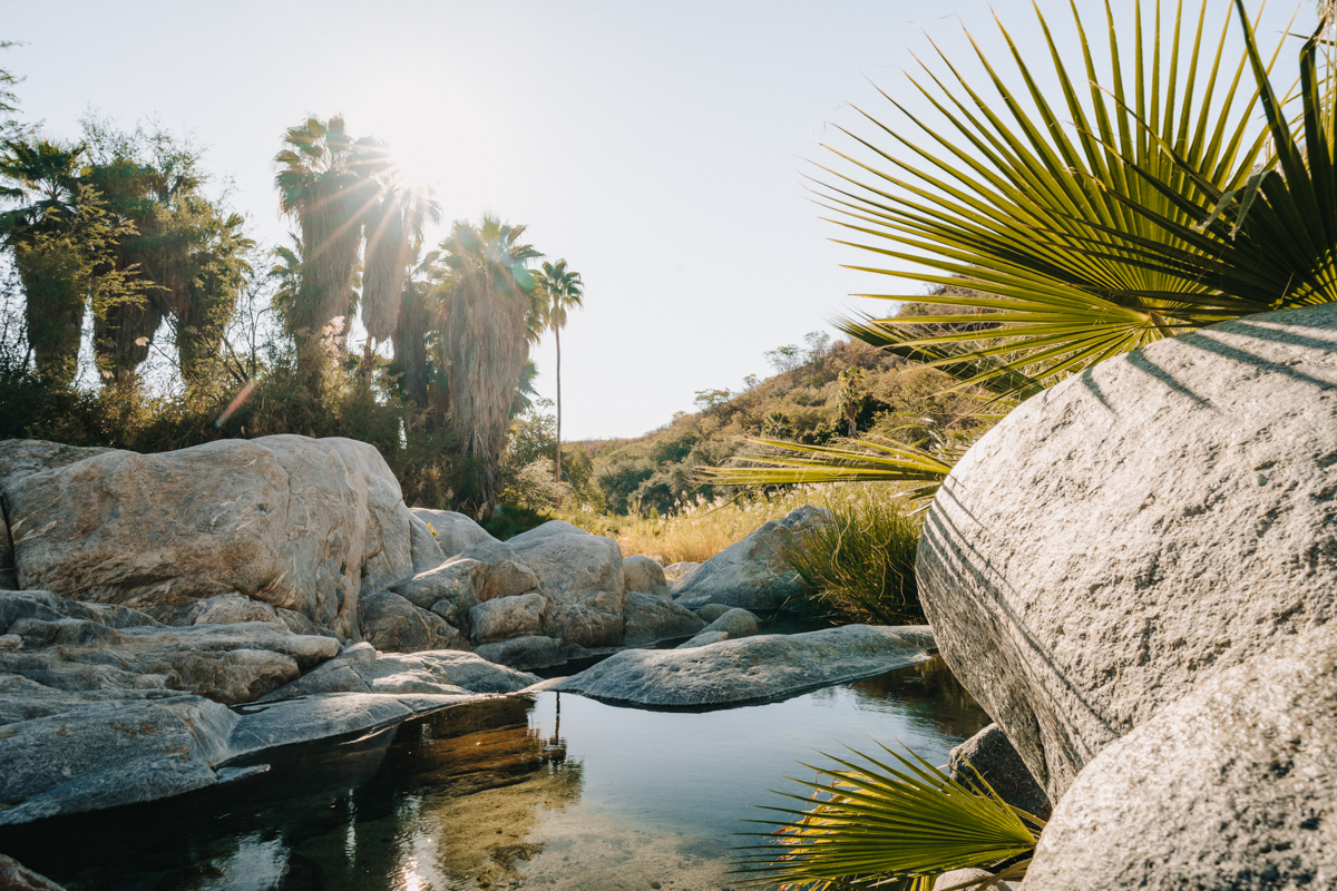Ultimate Guide to Sierra de la Laguna: Eco travel in Baja - Miss Rover