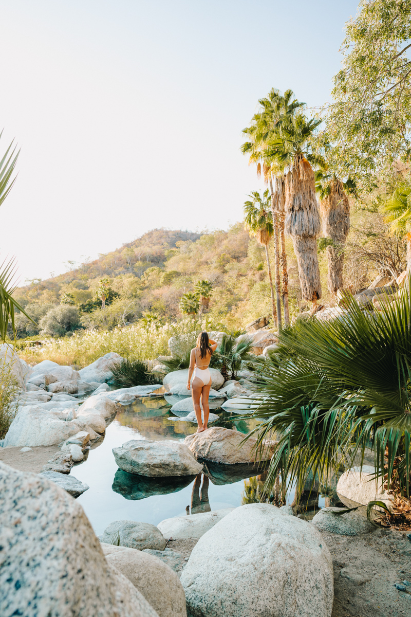 Ultimate Guide to Sierra de la Laguna: Eco travel in Baja - Miss Rover